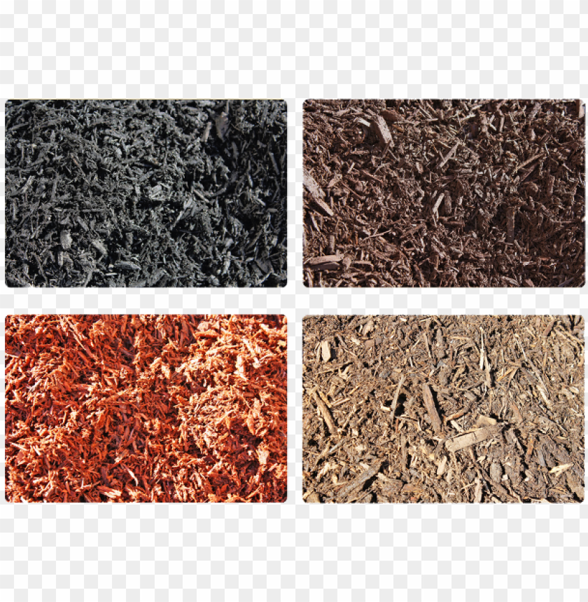 Free download | HD PNG mulch mulch color pine hemlock cedar PNG ...