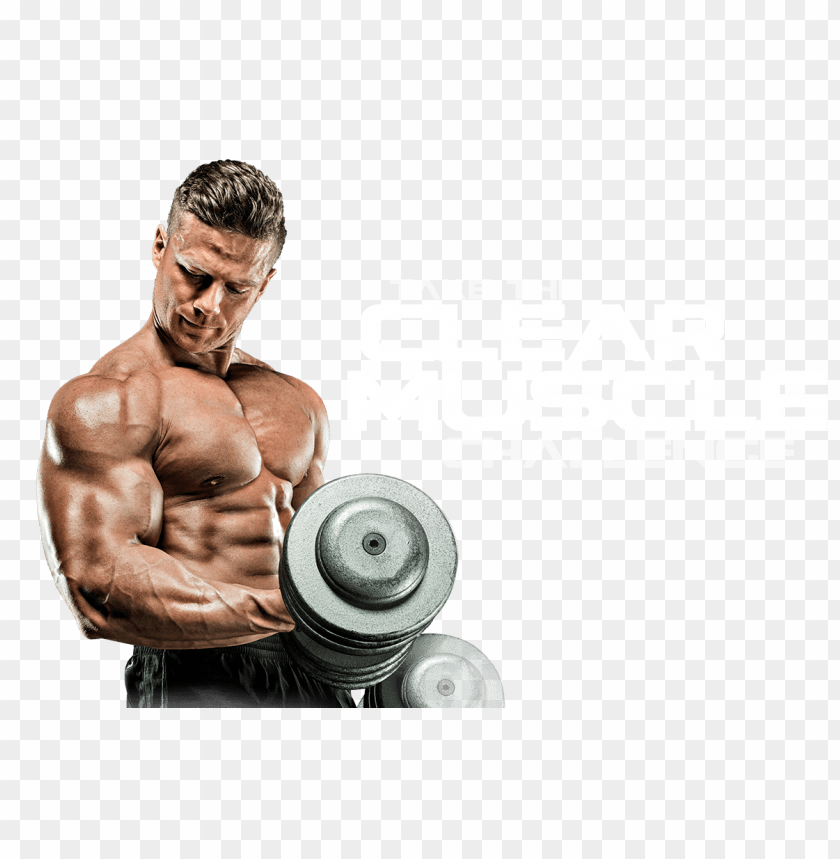 Roblox Muscle Shading cutout PNG & clipart images - Page 3 | TOPpng