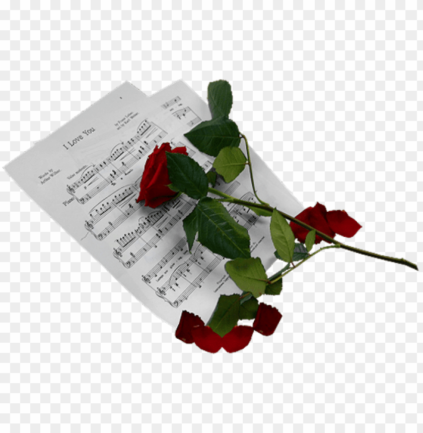 Free download | HD PNG music score love and red rose png images ...