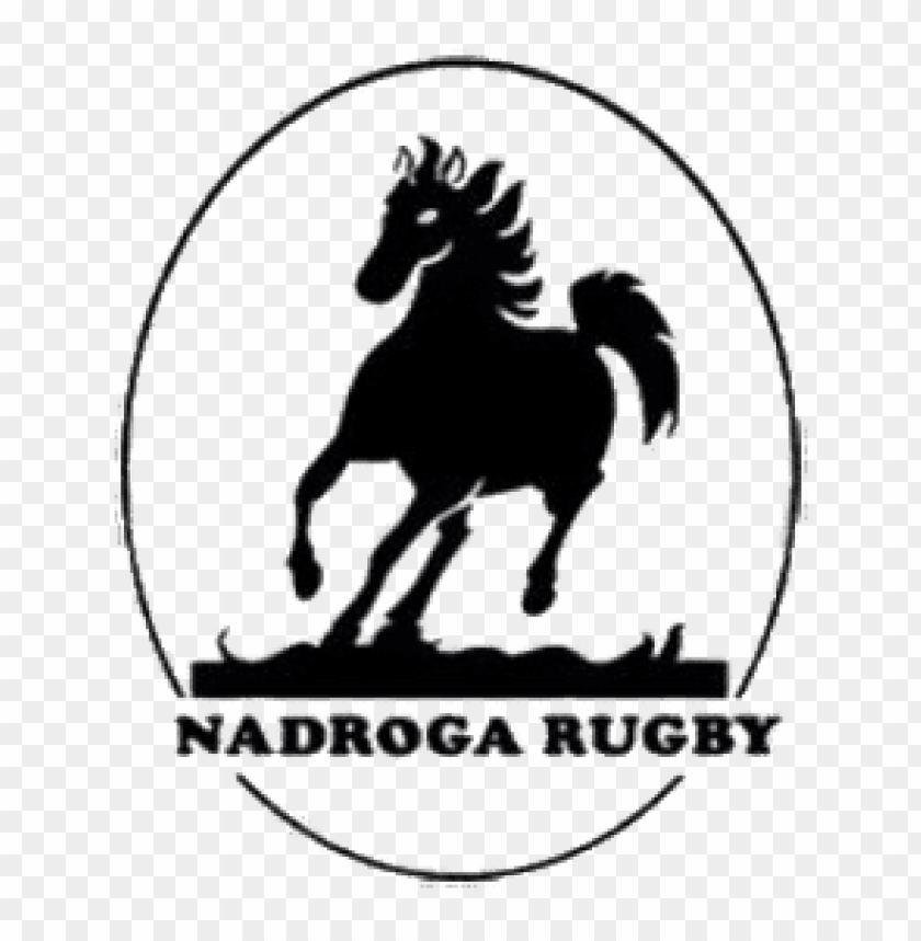 Free download | HD PNG nadroga rugby logo png | TOPpng