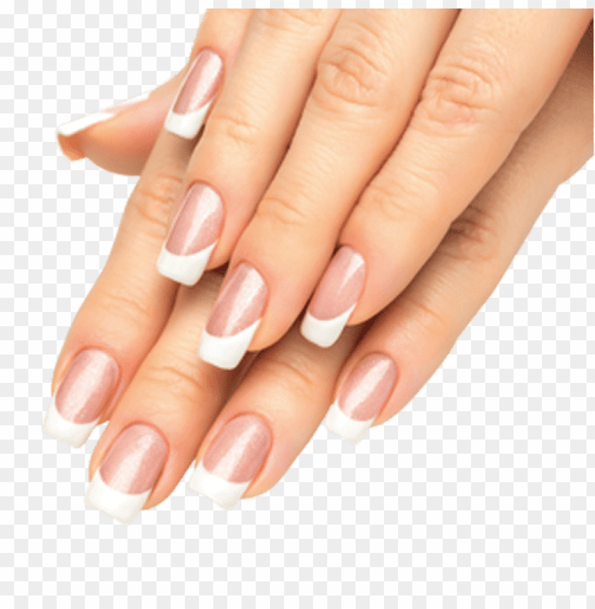 Free download | HD PNG Transparent background PNG image of nails ...
