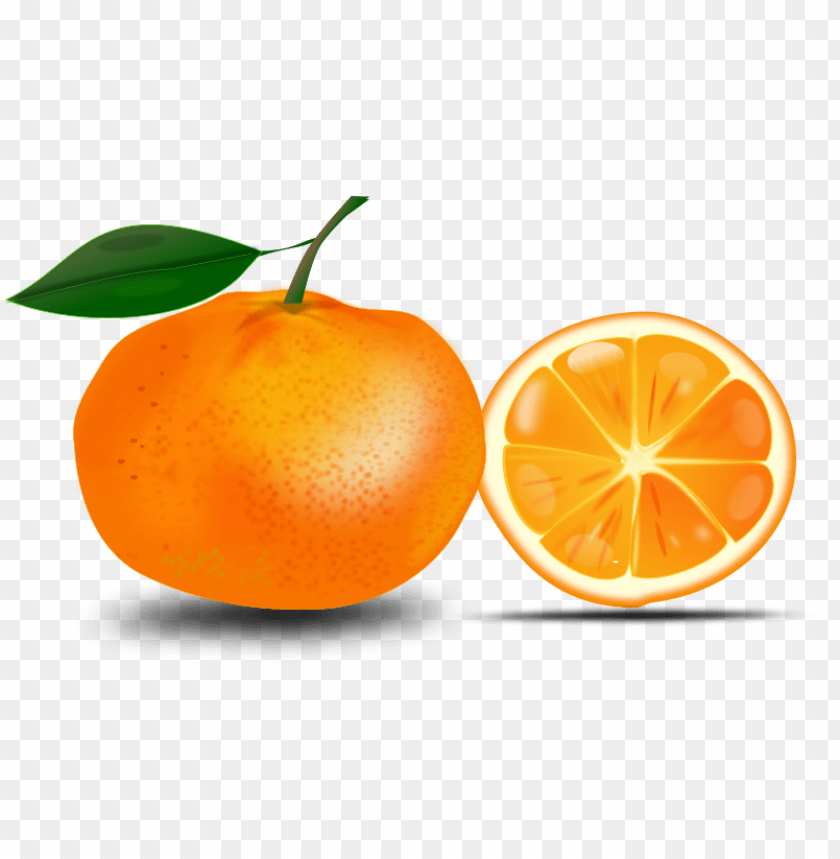 Free download | HD PNG naranja png PNG transparent with Clear ...