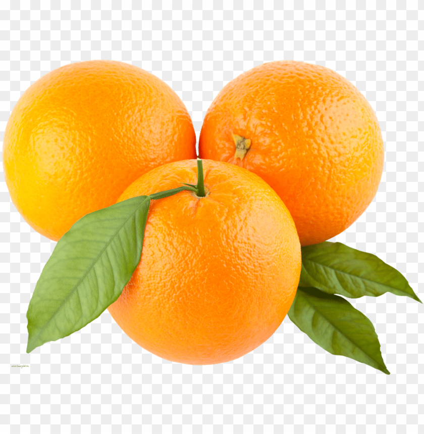 Free download | HD PNG naranja png PNG transparent with Clear ...
