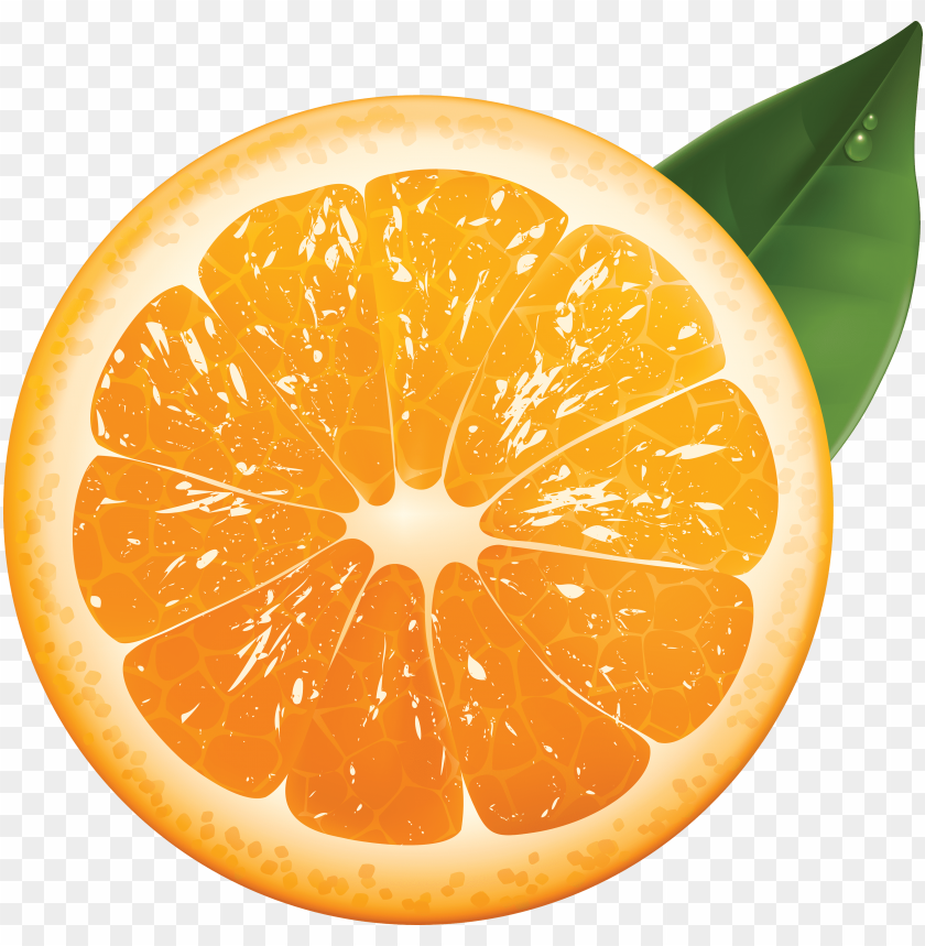 Free download | HD PNG naranja png PNG transparent with Clear ...