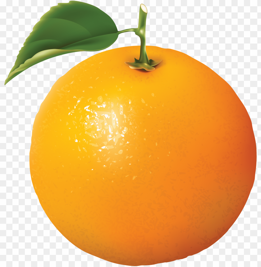 Free download | HD PNG naranja png PNG transparent with Clear ...