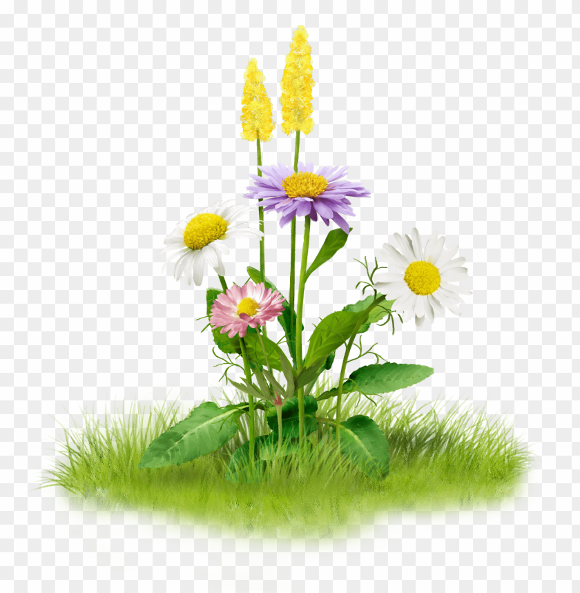 Free download | HD PNG PNG image of yellow flower with grass png with a ...