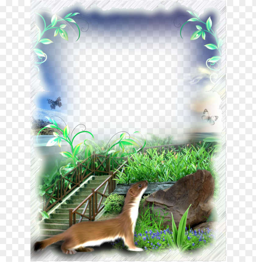Free download | HD PNG nature transparent photo frame background best ...
