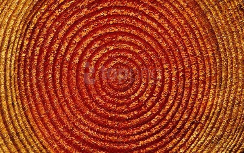 Free download | HD PNG nature wood pattern background best stock photos ...