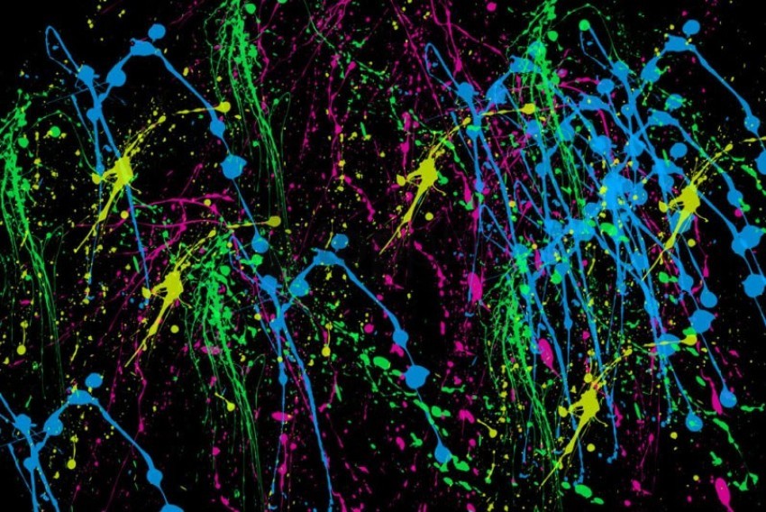 Free download | HD PNG neon color splash paint background best stock ...