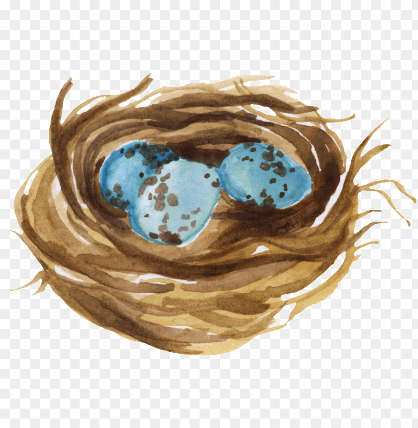 Free download | HD PNG nest PNG transparent with Clear Background ID ...