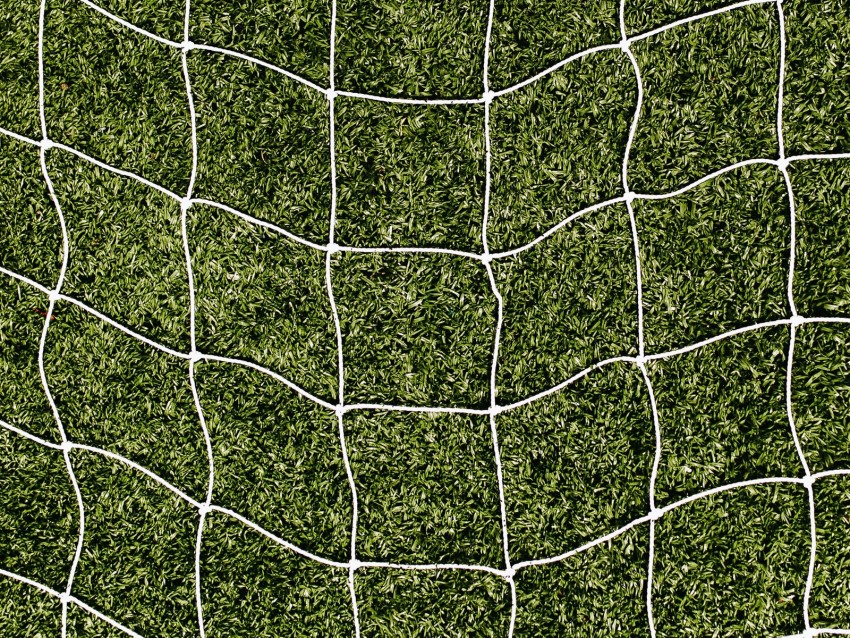 Free download | HD PNG net grass lawn texture 4k wallpaper | TOPpng