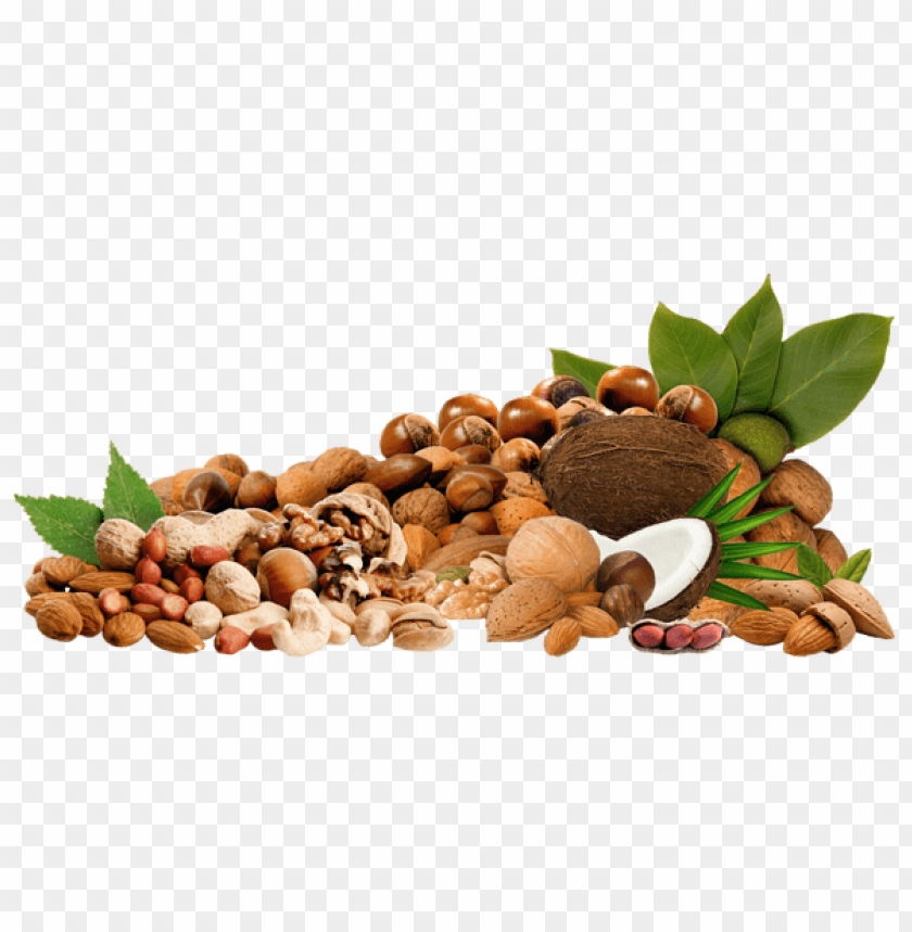 Free download | HD PNG nuts png clipar picture clipart png photo ...