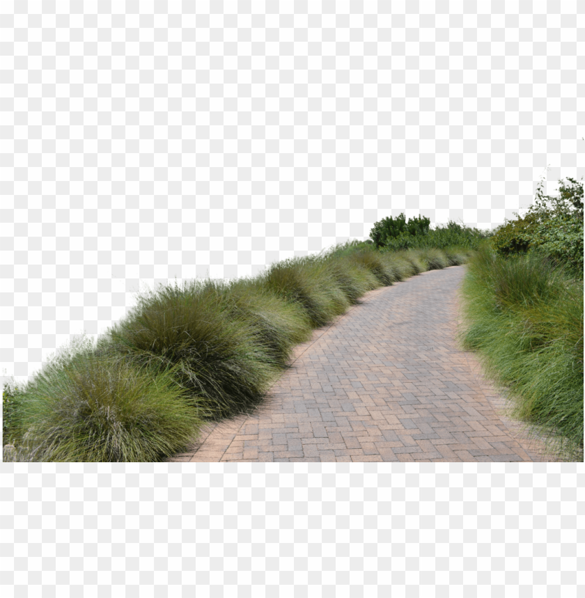 Free download | HD PNG o to image grass path PNG transparent with Clear ...