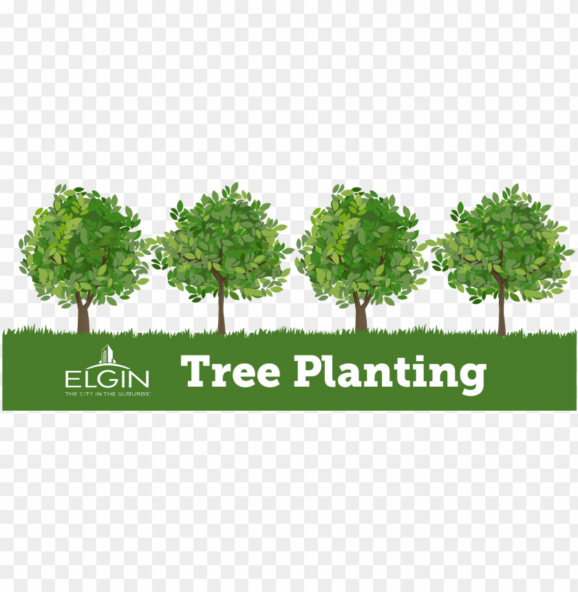 Free download | HD PNG o to image tree planting clip art PNG ...