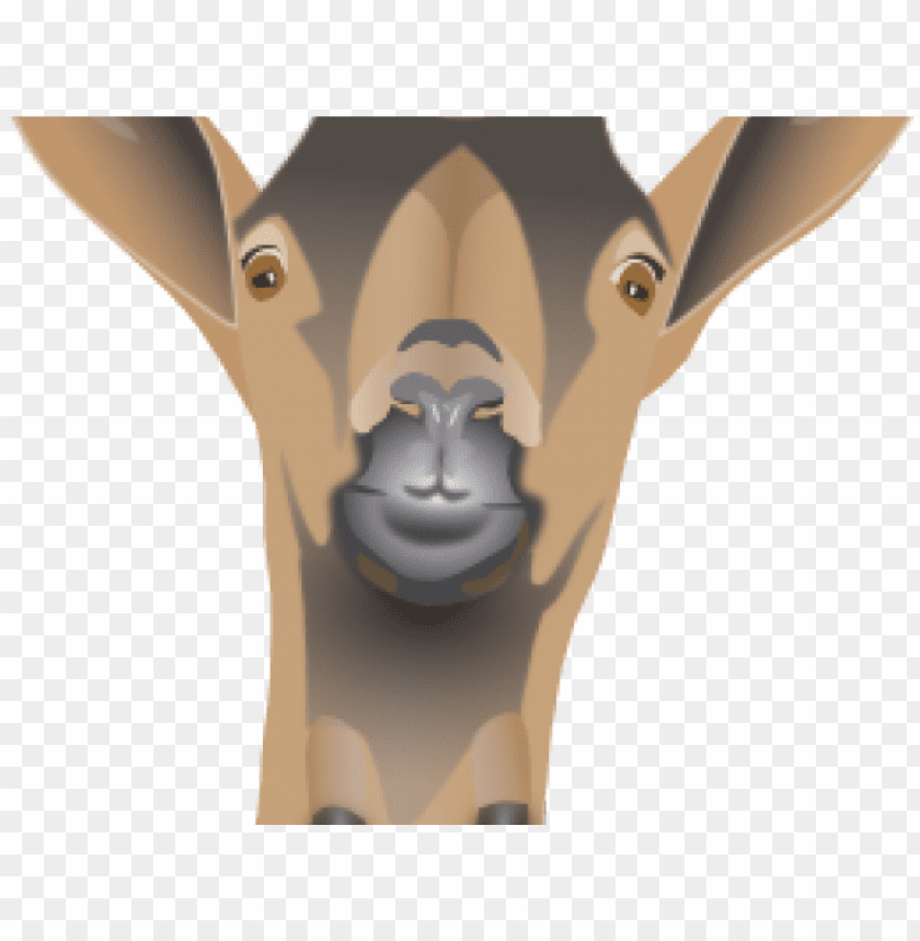 Free download | HD PNG oat face cliparts goat head PNG transparent with ...
