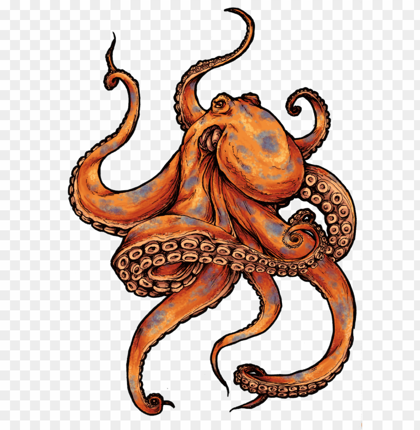 Free download | HD PNG octopus png PNG transparent with Clear ...