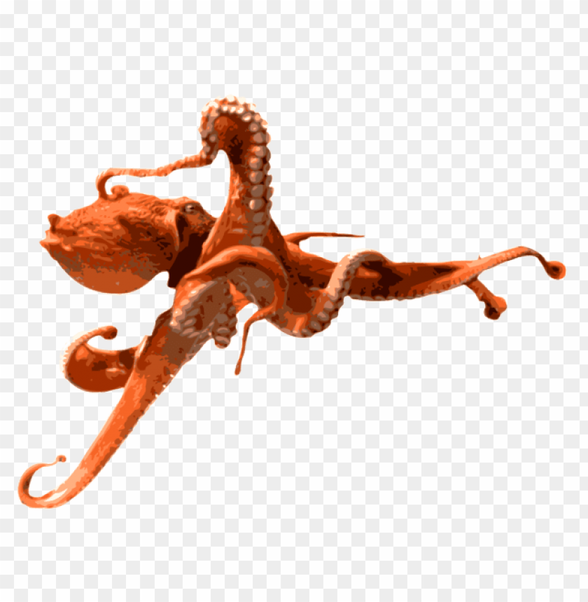 Free download | HD PNG octopus png PNG transparent with Clear ...
