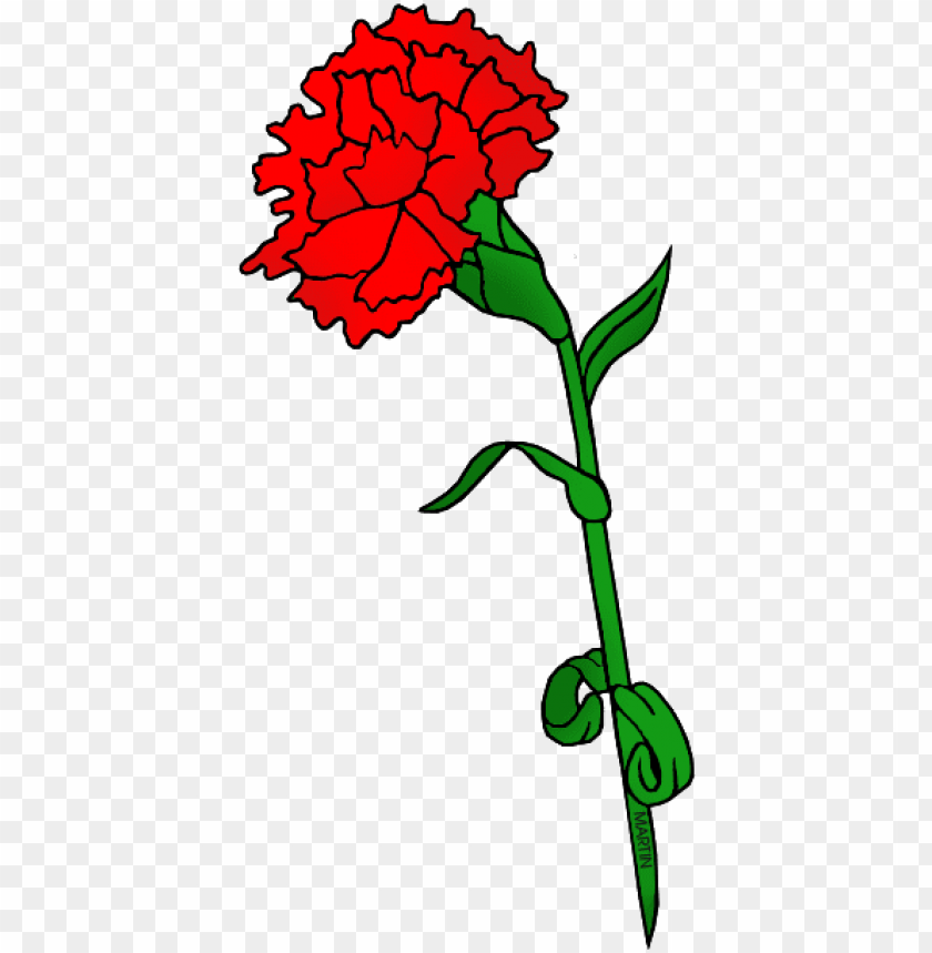 Free download | HD PNG ohio carnation flower clipart ohio state flower ...
