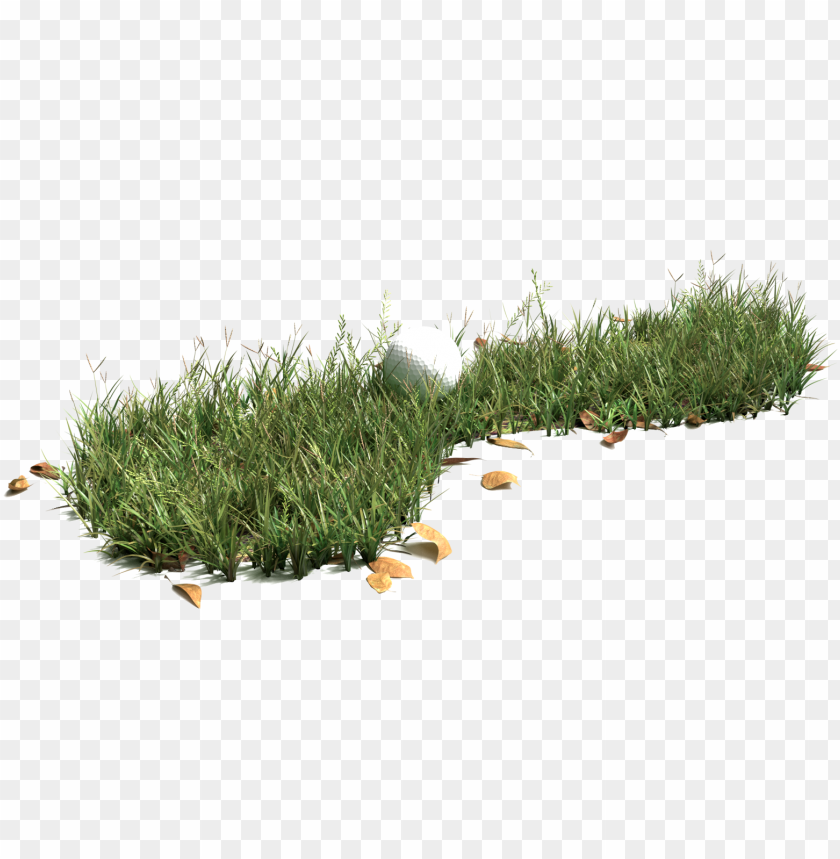 Free download | HD PNG olf rocks snow PNG transparent with Clear ...