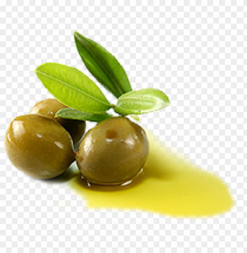 Free download | HD PNG olives with a drizzle of fresh olive oil PNG ...