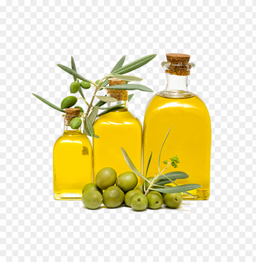 Free download | HD PNG two olive oil bottles with fresh olive branch ...