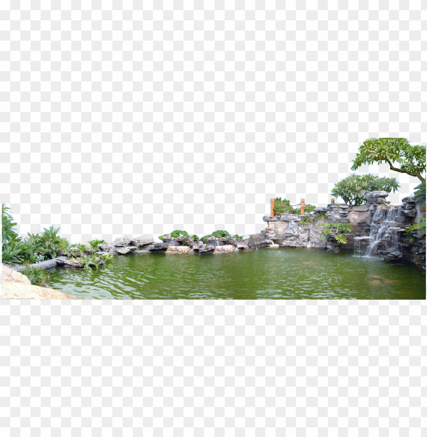 Free download | HD PNG ond computer file pond plant PNG transparent ...