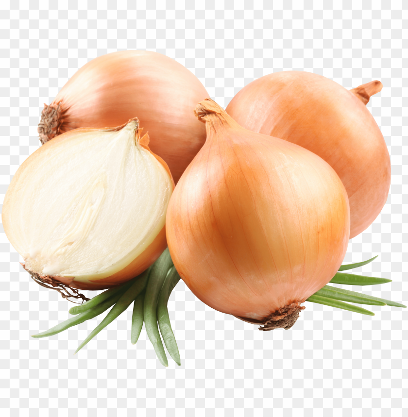Free download | HD PNG yellow onions with smooth papery skin png PNG ...