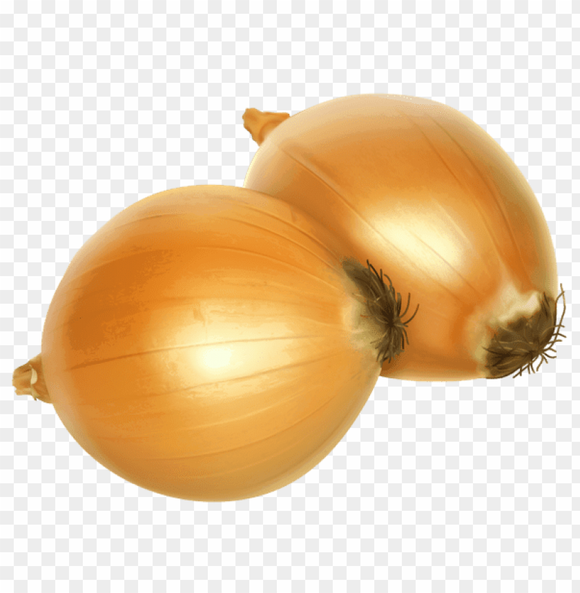 Free download | HD PNG Transparent two golden onions with detailed ...