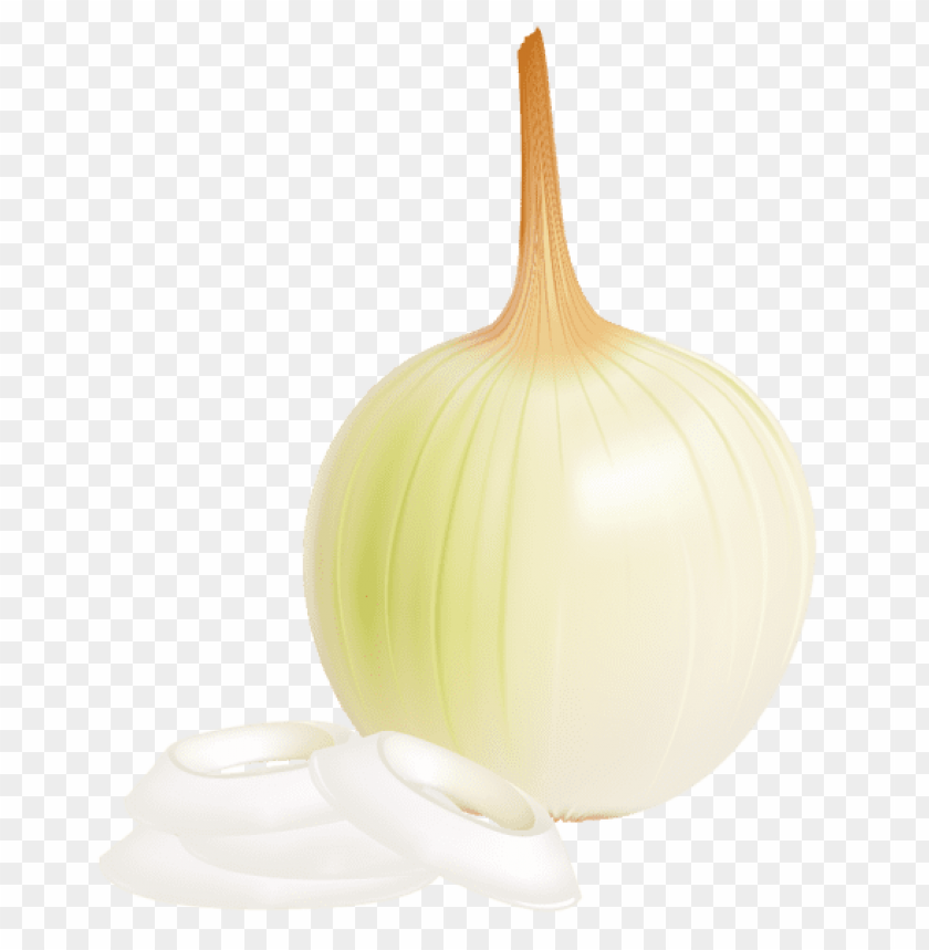 Free download | HD PNG Transparent whole onion with outer skin PNG ...