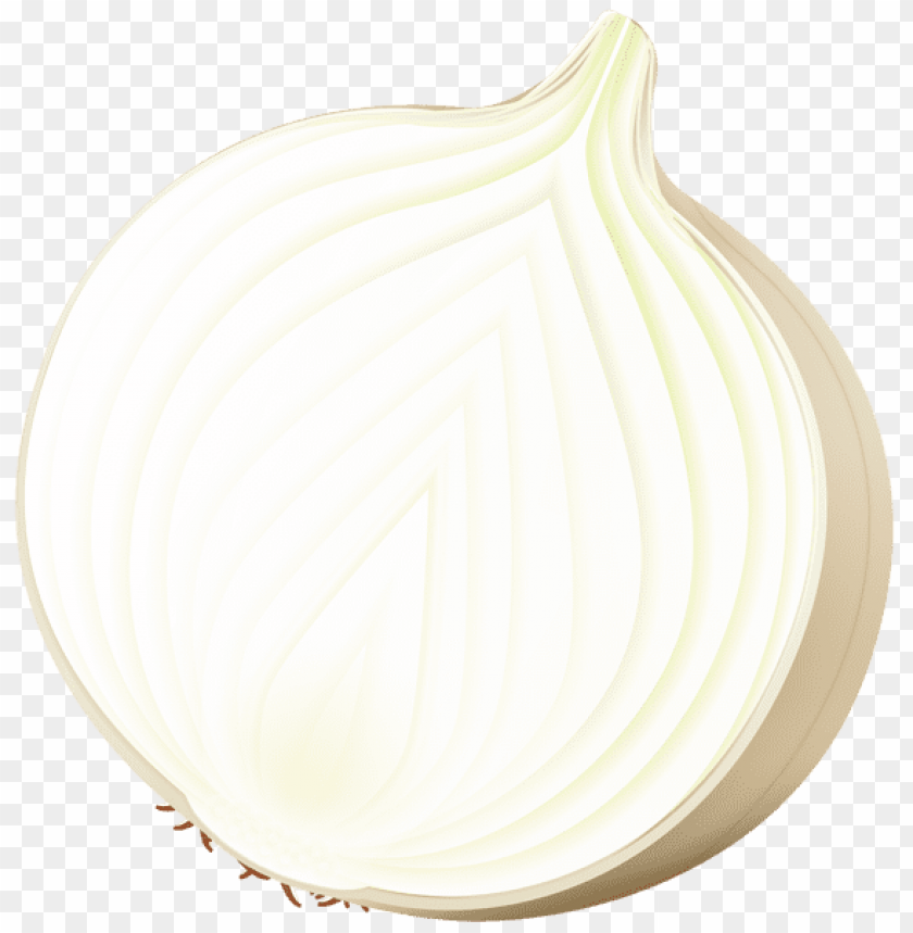 Free download | HD PNG Transparent white onion with smooth layers PNG ...