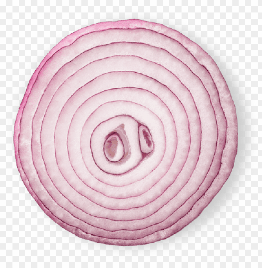 Free download | HD PNG onion png photo onio PNG transparent with Clear ...