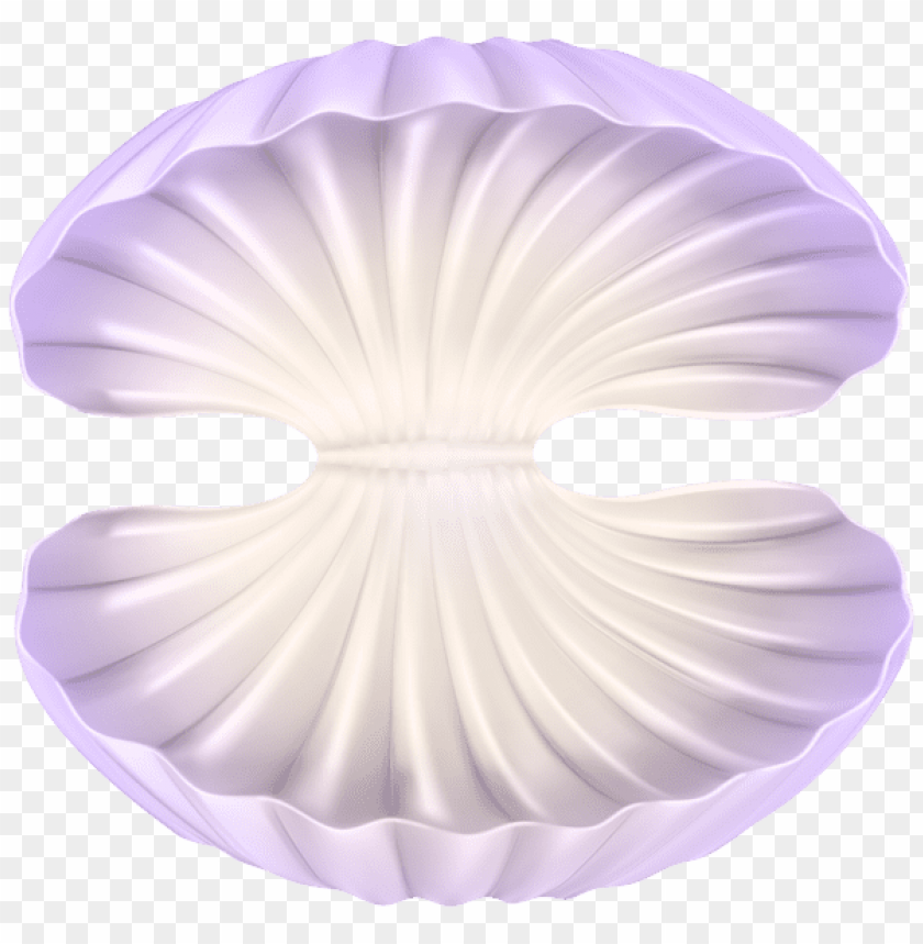 Free download | HD PNG open clam shell clipart png photo - 56301 | TOPpng