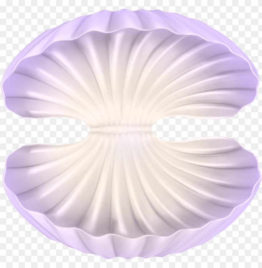 Free download | HD PNG open clam shell clipart PNG transparent with ...