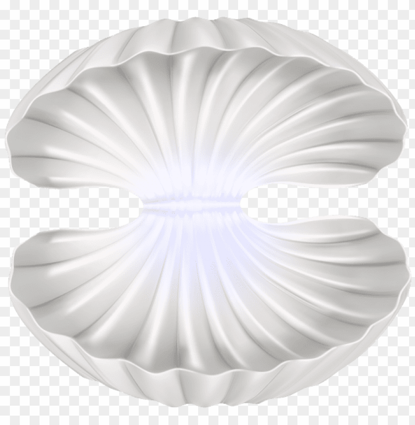 Free download | HD PNG open clam shell png clipart png photo - 56300 ...