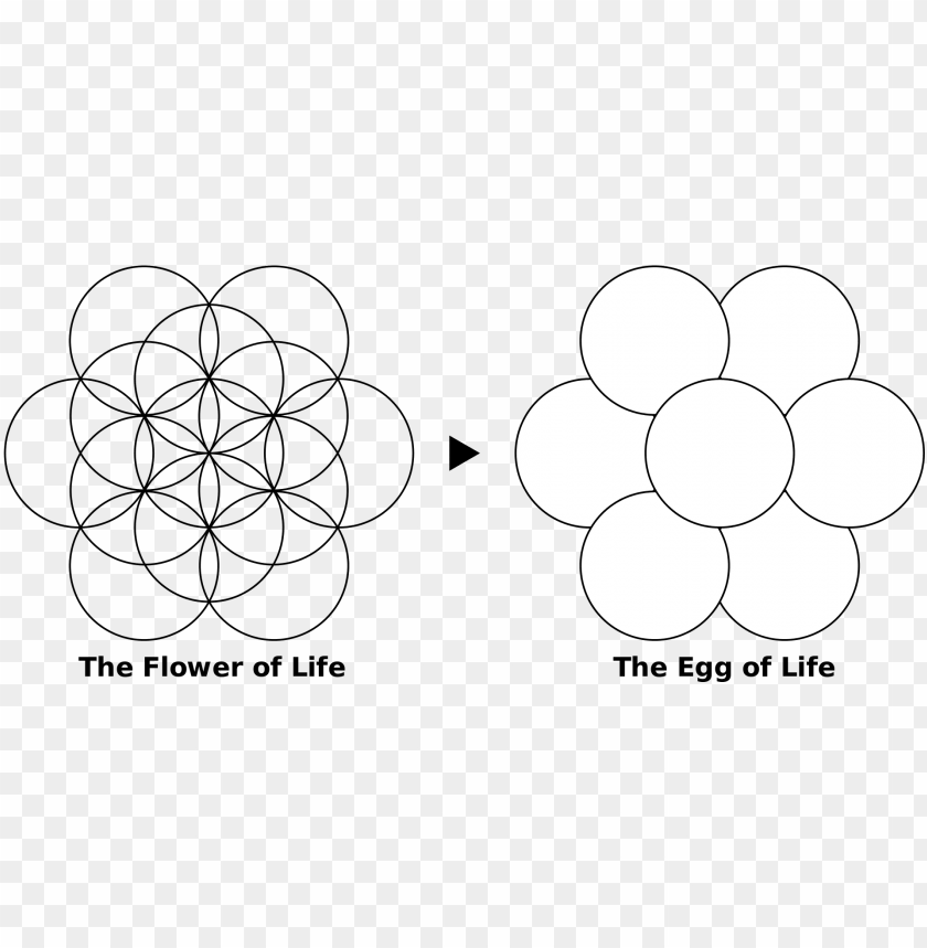 Free download | HD PNG open egg of life PNG transparent with Clear ...