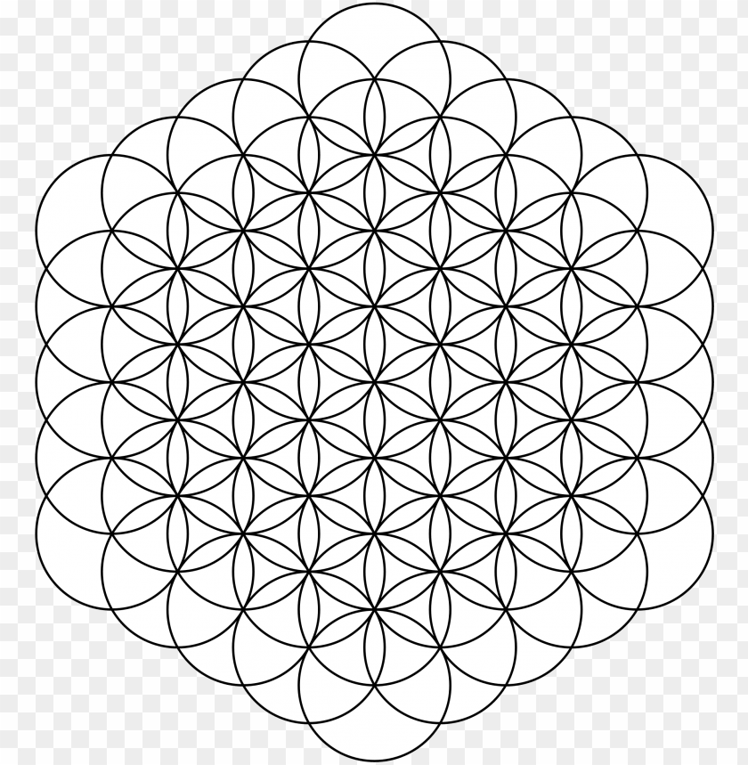Free download | HD PNG open flower of life no background PNG ...