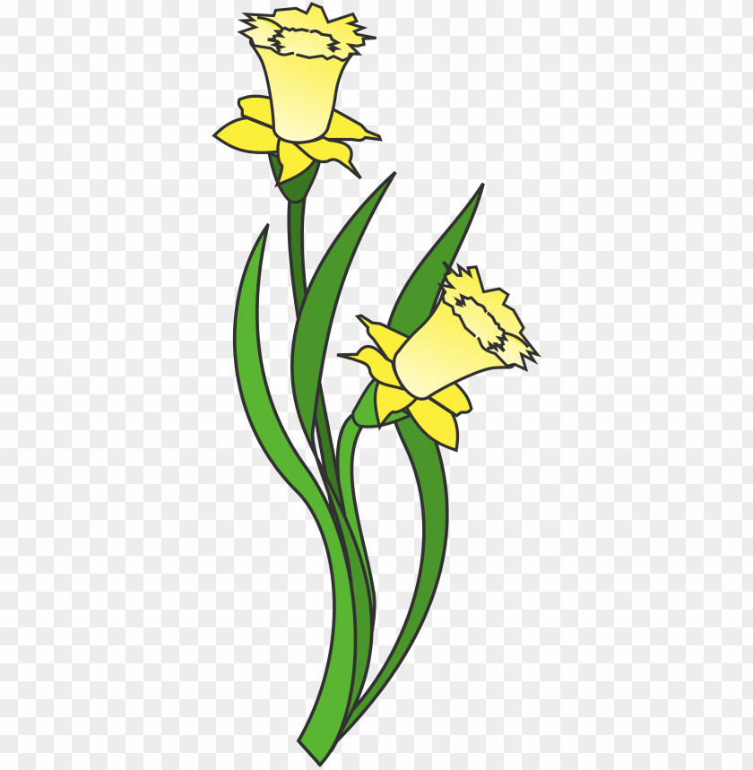 Free download | HD PNG open scalable vector graphics PNG transparent ...