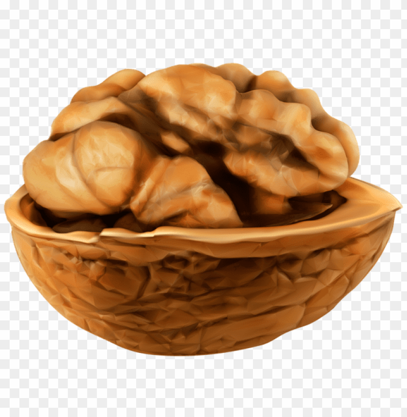 Free download | HD PNG open walnut clipart png photo - 52992 | TOPpng