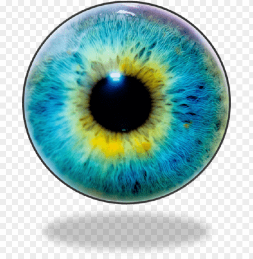 Free download | HD PNG optical illusion pic of animals PNG transparent ...