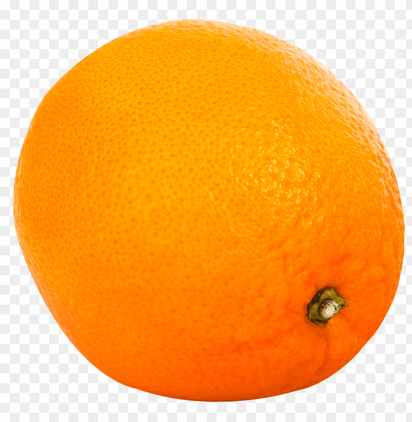 Free download | HD PNG whole orange png PNG images with transparent ...