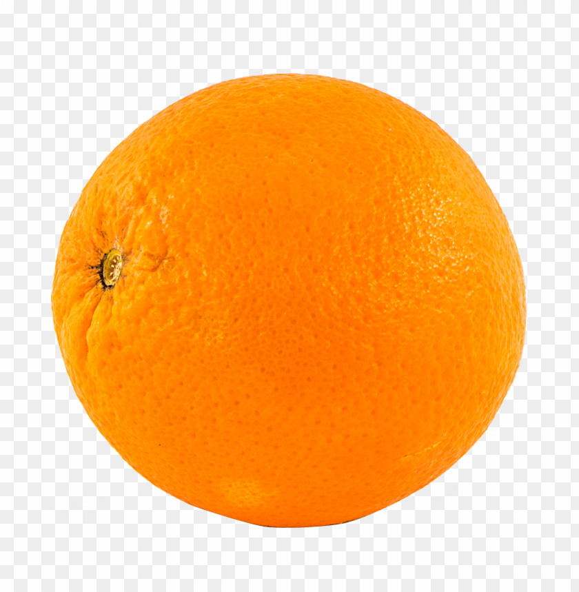Free download | HD PNG whole orange png PNG images with transparent ...