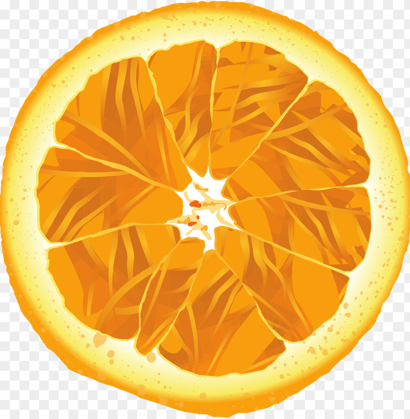 Free download | HD PNG orange PNG images with transparent backgrounds ...