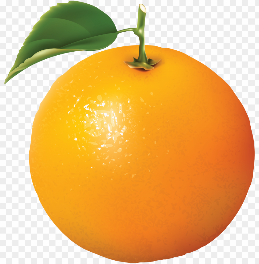 Free download | HD PNG orange PNG images with transparent backgrounds ...