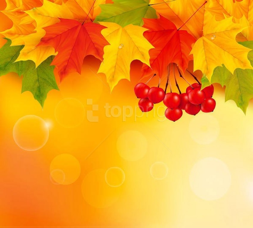 Free download | HD PNG orange fall leaves décor background background ...