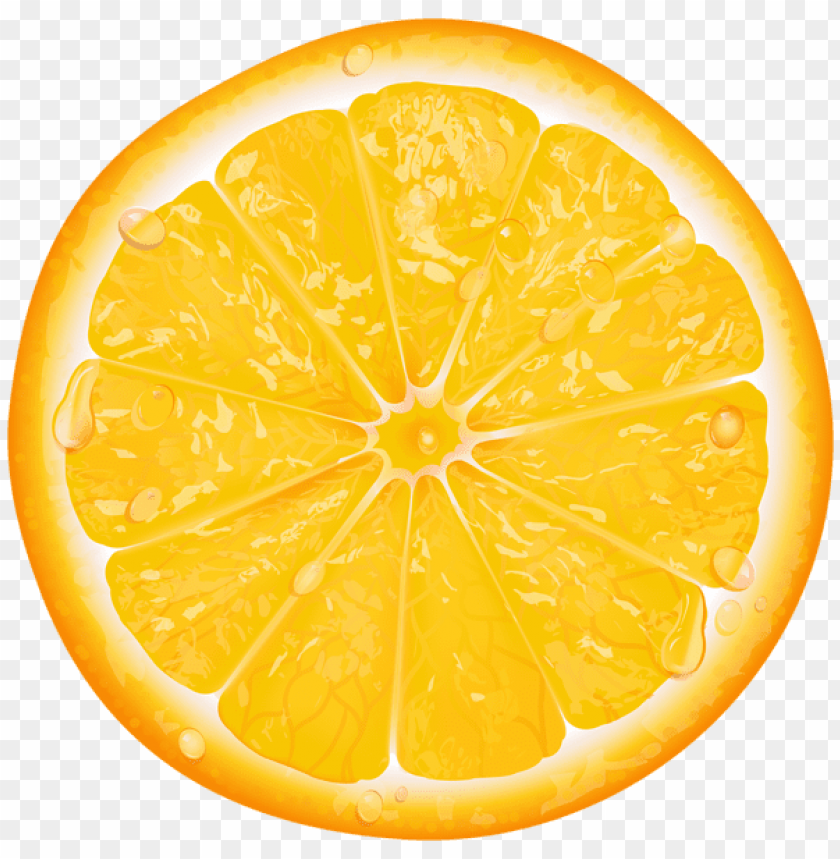 Free download | HD PNG thin orange slice with transparent effect | TOPpng