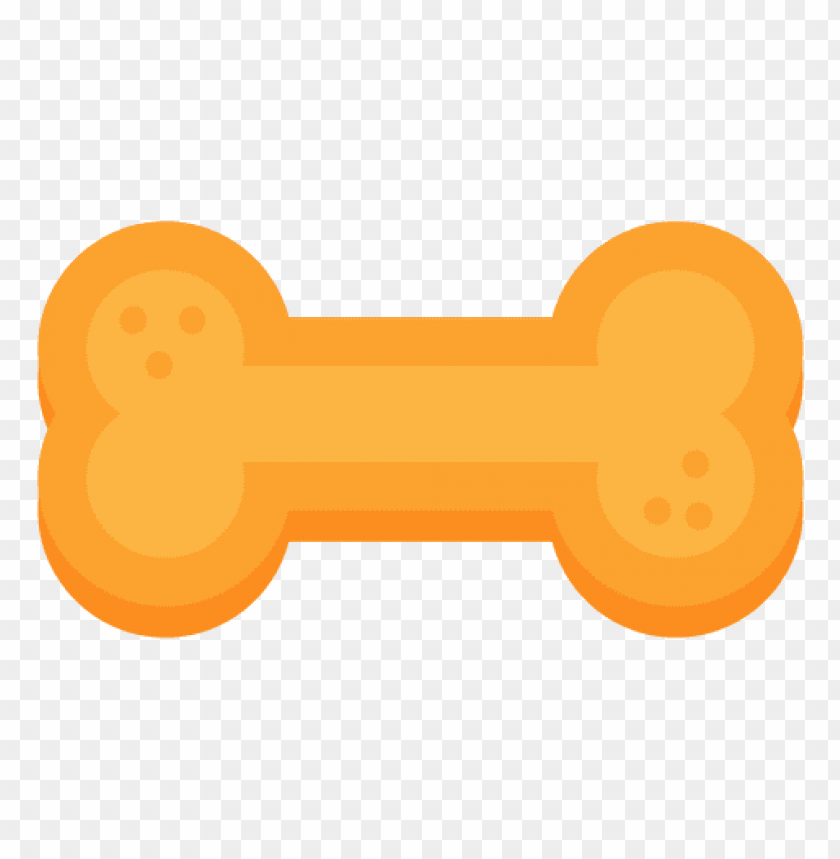 Desenhos De Ossos De Anatomia Para Colorir