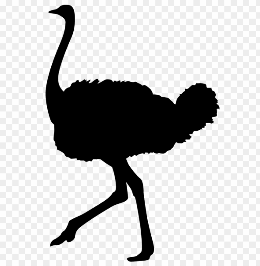 Ostrich Black And White Clipart