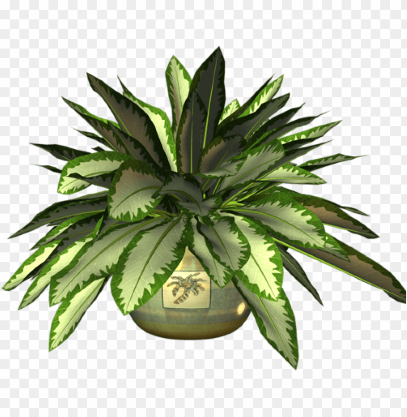 Free download | HD PNG ot plant clipart botany clip art PNG transparent ...