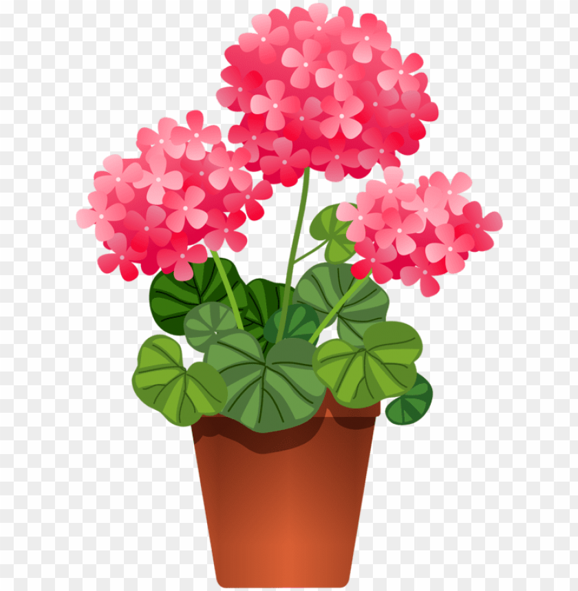 Free download | HD PNG otted flowers flower clipart flowers nature ...