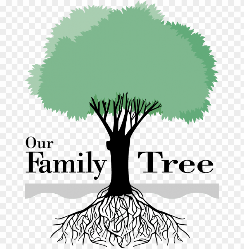 Free download | HD PNG our family tree PNG transparent with Clear ...